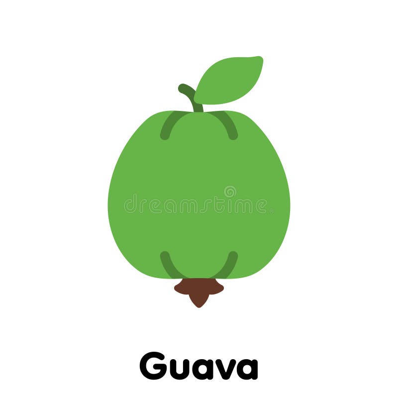 Guava Fruit Icon, Vector, Illustration. Stock Vector - Illustration of ...