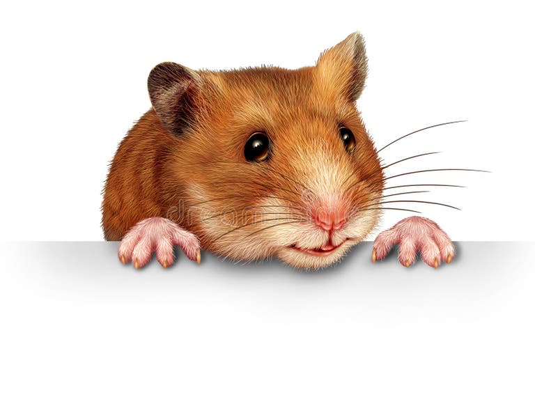 Funny Cute Animal Hamster Stock Illustrations – 13,341 Funny Cute ...