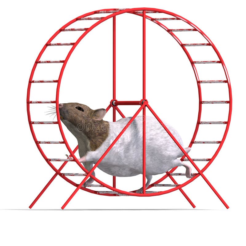 Cute Hamster in a Hamster Wheel Stock Illustration - Illustration of ...