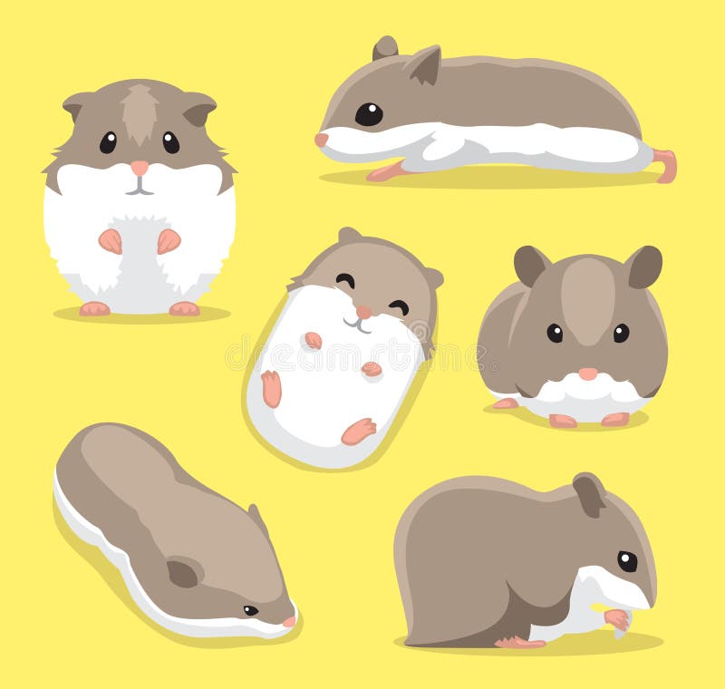 Cute Hamster Poses Cartoon Vector Illustration Stock Vector ...