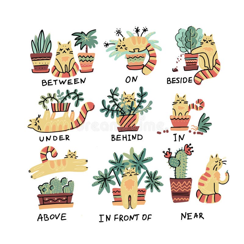 Cat Prepositions Stock Illustrations 40 Cat Prepositions Stock