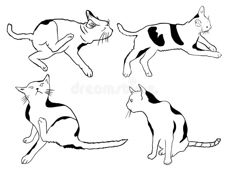 Bug silhouettes stock vector. Illustration of silhouette - 36840606