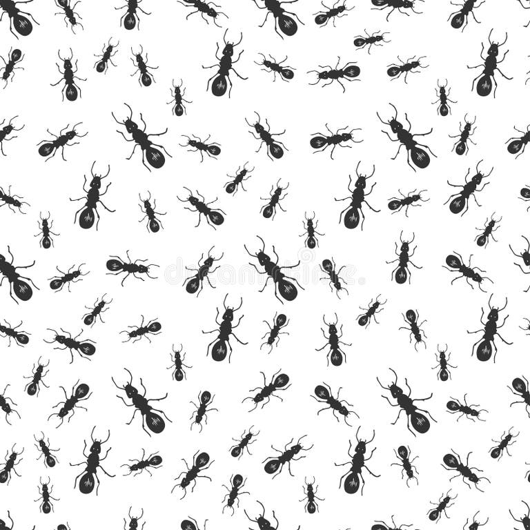 Black Ants Stock Illustrations – 5,375 Black Ants Stock Illustrations ...