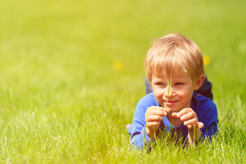 Cute Happy Little Boy Lying in Green Grass on Spring Stock Photo ...