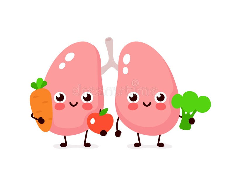 Strong Cute Healthy Happy Lungs Stock Vector - Illustration of balance ... Strong Cute Healthy Happy Lungs Stock Vector - Illustration of balance ...