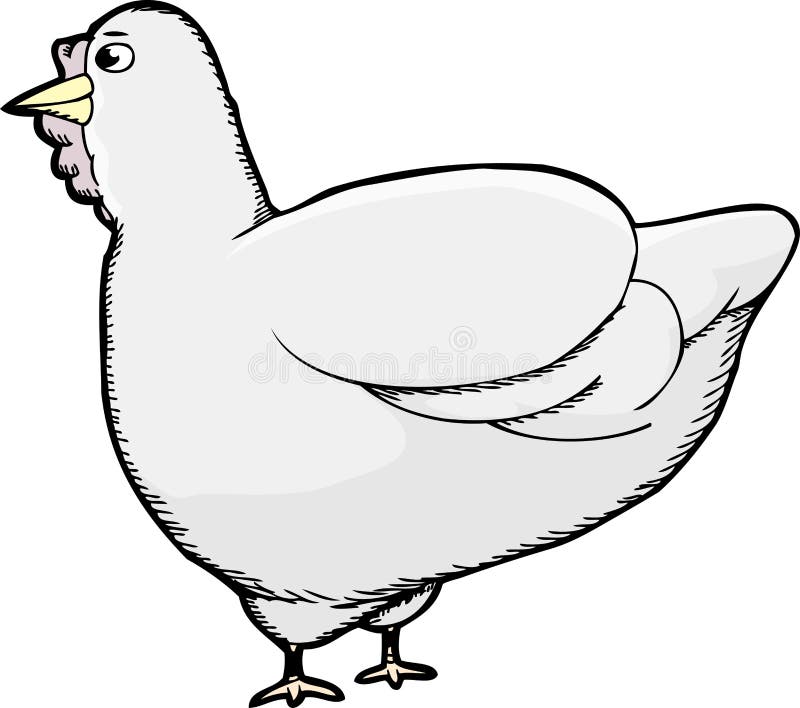 A big fat hen stock illustration. Illustration of drawing - 33689994