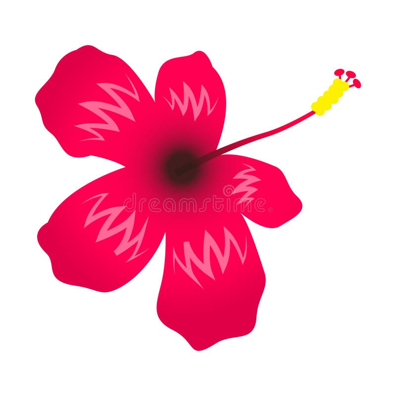 Cute of Hibiscus Flower on Cartoon Version Stock Vector - Illustration ...