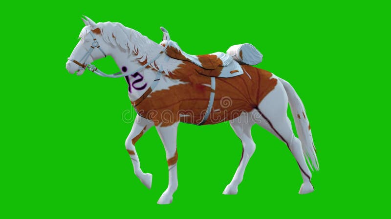 Walking Horse Cartoon on Isolated White Background Stock Footage ...