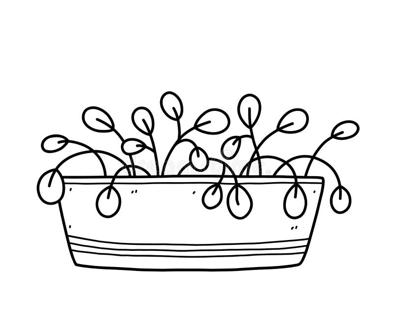 Cute Houseplant In Flower Pot Isolated On White Background Stock Vector