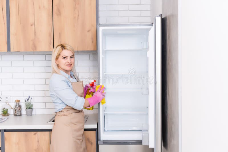 Cute Housewife Cleaning the Kitchen Cleaning the Kitchen Stock Image ...