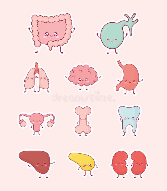 Cute human organs stock vector. Illustration of vector - 213668014