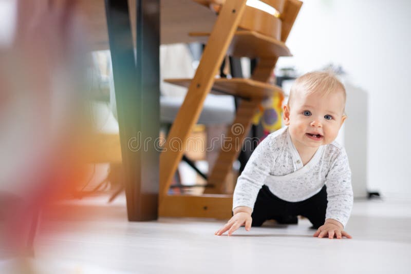 Cute Infant Baby Boy Crawling Under Dining Room Table at Home. Baby ...