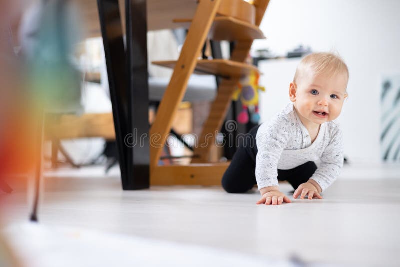 Cute Infant Baby Boy Crawling Under Dining Room Table at Home. Baby ...