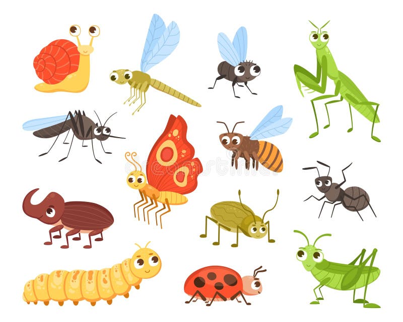 Cute Insects Cartoon Bug And Butterfly Mascots Ladybug And Dragonfly Colorful Beetles And