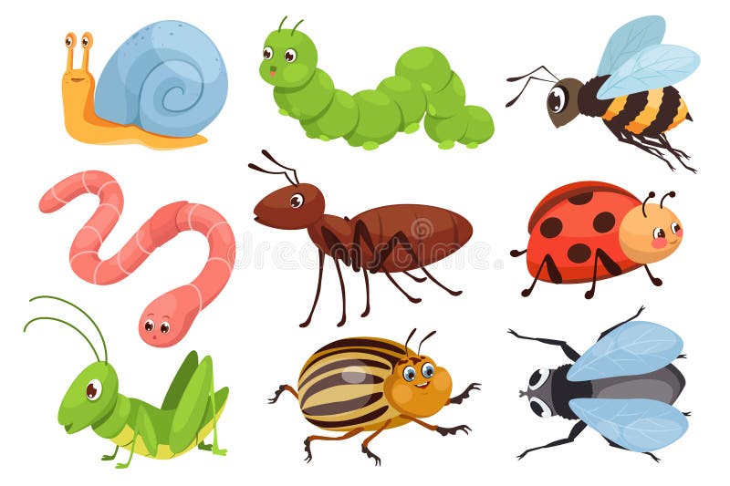 Cute Insects Mega Set in Graphic Flat Design. Vector Illustration Stock ...