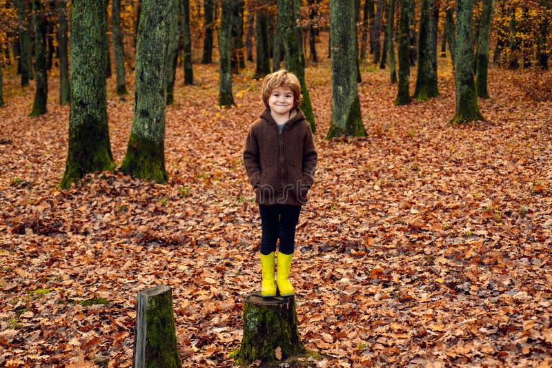 Cute Kid Boy Walking in the Autumn Park. Beautiful Fall Day. Stock ...