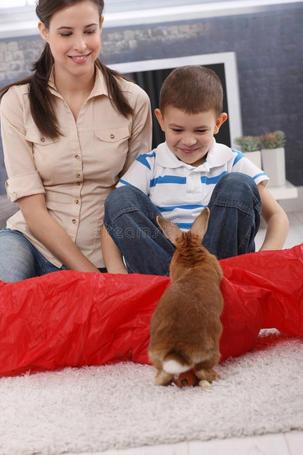 Cute Kid and Mom Playing with Rabbit Stock Image - Image of brunette ...