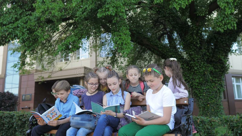 Cute Kids Study with Books and Notebooks Stock Video - Video of ...