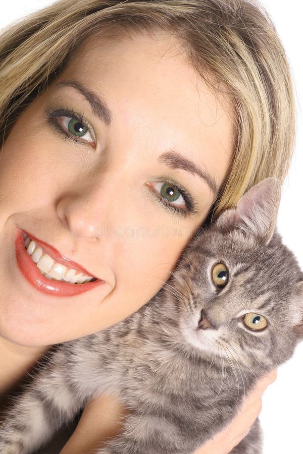 Cute Kitten Model Free Stock Photos & Pictures, Cute Kitten Model ...