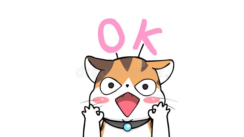 Cute Kitten with OK Sign Animation - White Background Stock Footage ...