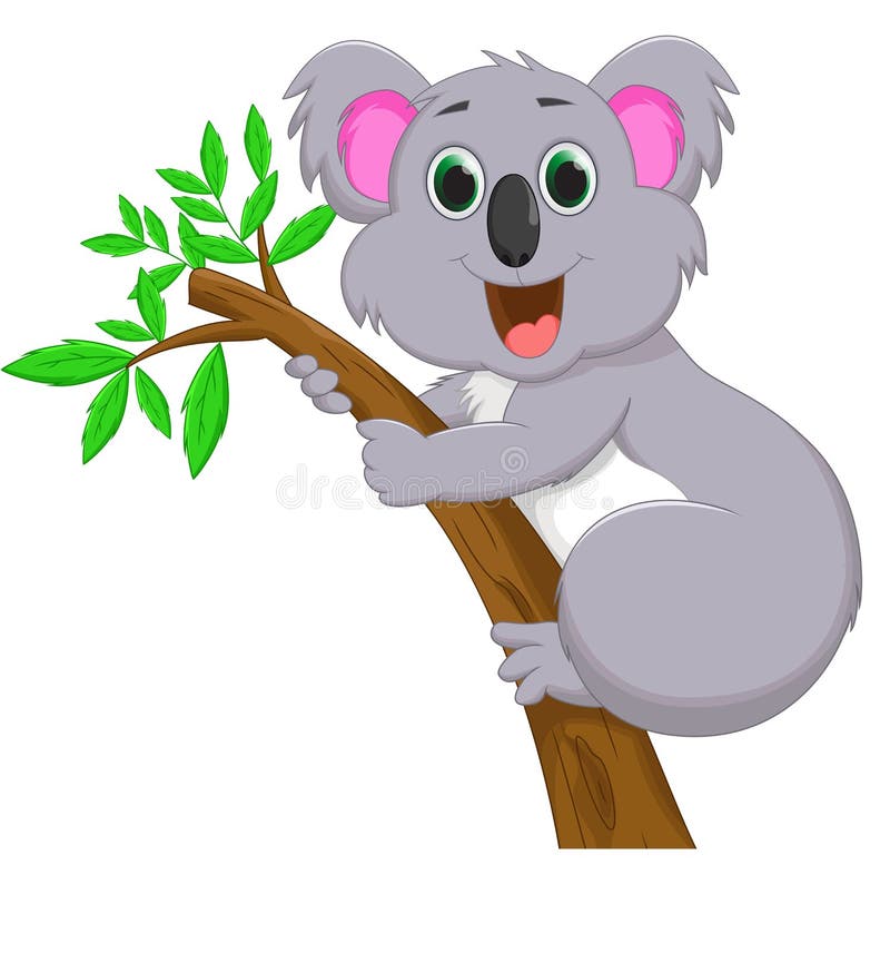 Cute Koala Cartoon on a Tree Stock Vector - Illustration of safari ...
