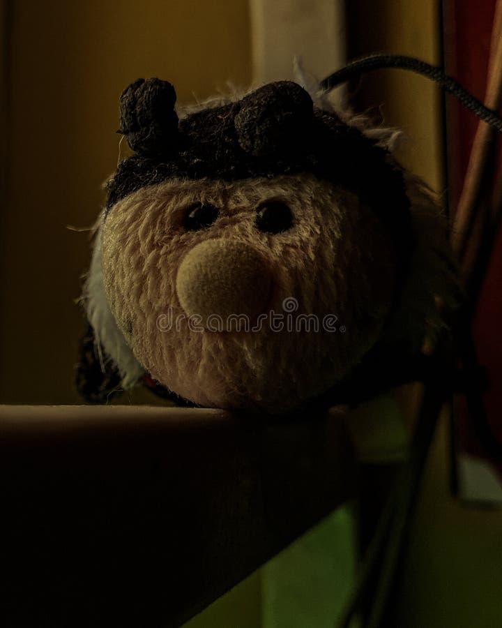 Cute Lady Bug Toy Black White and Colorful Stock Image - Image of ...