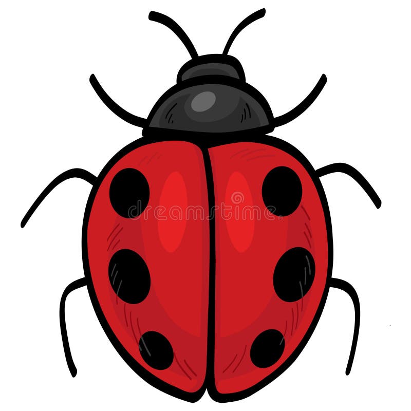 Cute Ladybug Cartoon Insect Vector Illustration Stock Vector ...