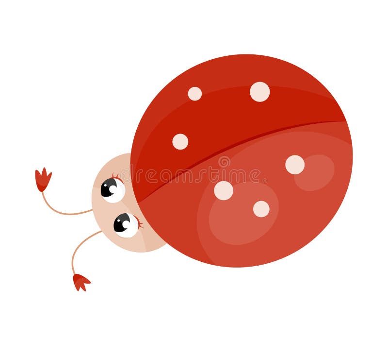 Cute ladybug character stock vector. Illustration of summer - 259124474