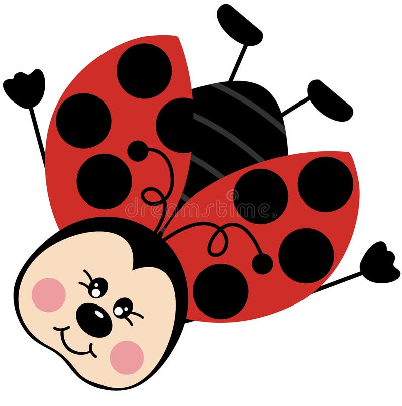 Flying Ladybug Isolated White Background Stock Illustrations – 936 ...