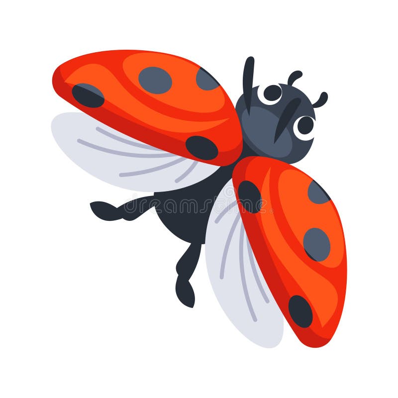 Cute Ladybug Flying and Showing Its Wings Stock Vector - Illustration ...