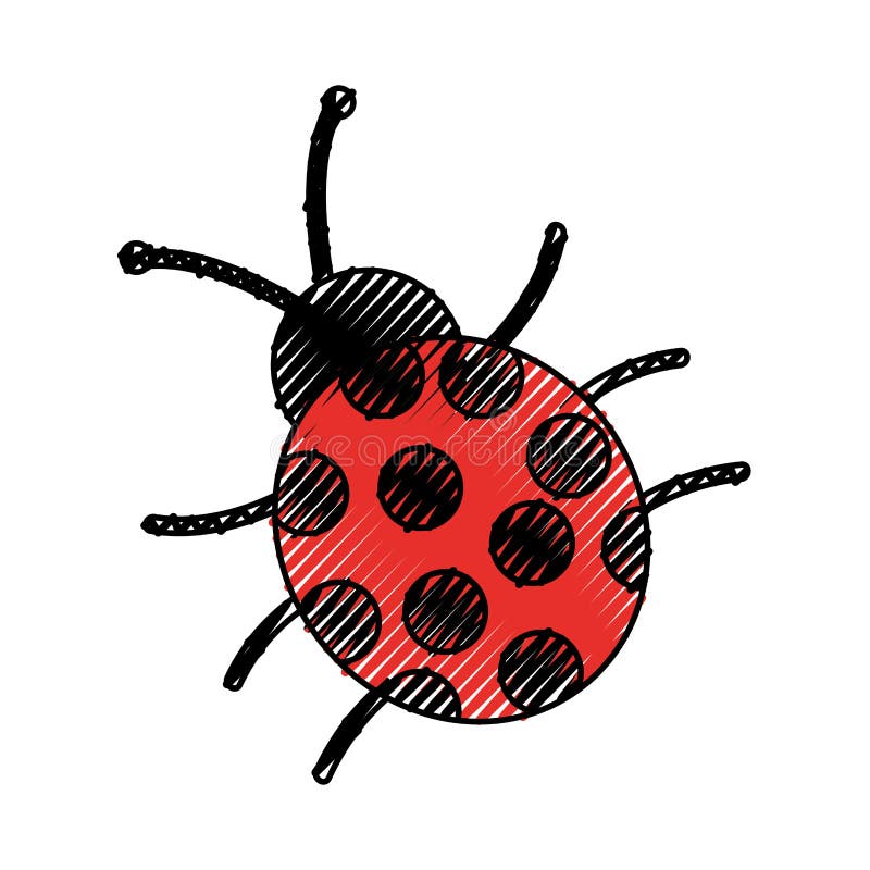 Cute ladybug isolated icon stock vector. Illustration of predatory ...