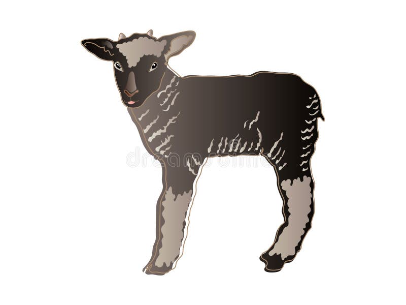 Cute lamb illustration stock vector. Illustration of design - 67969195
