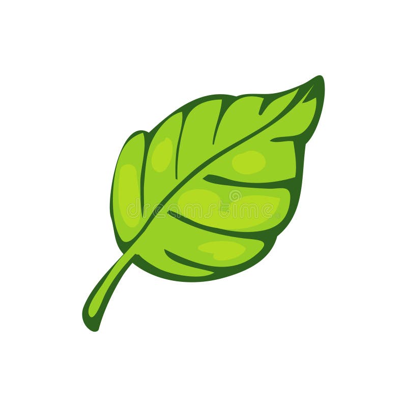 Cute leaf design stock vector. Illustration of growth - 273099548