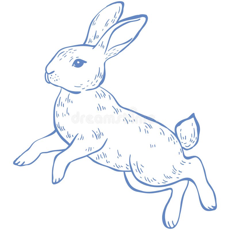 Cute Line Art Bunny. stock illustration. Illustration of easter - 366368256