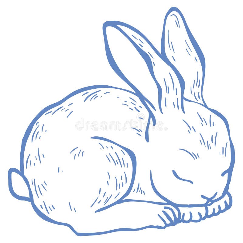 Cute Line Art Bunny. stock illustration. Illustration of farm - 366368188