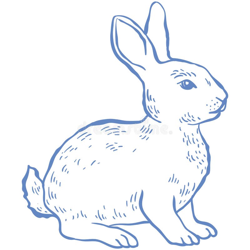 Cute Line Art Bunny. stock illustration. Illustration of graphic ...