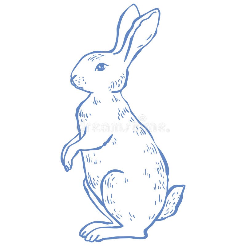Cute Line Art Bunny. stock abbildung. Illustration von vektor - 366368410