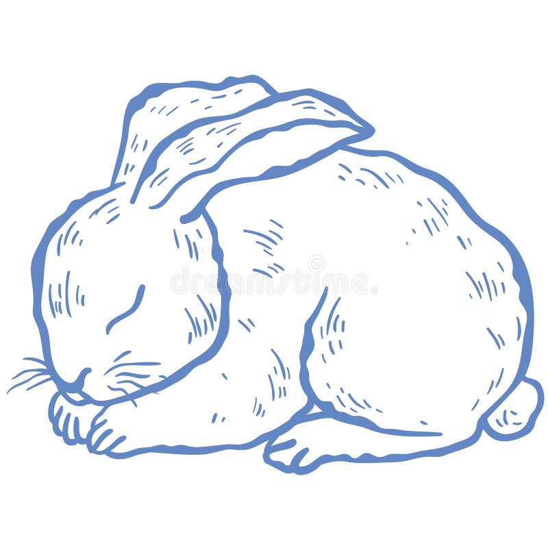 Cute Line Art Bunny. stock vector. Illustration of animal - 366368090