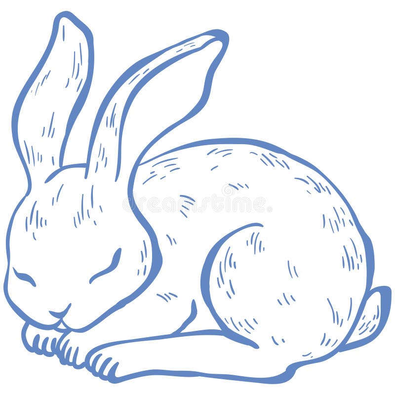 Cute Line Art Bunny. stock illustration. Illustration of blue - 366368165