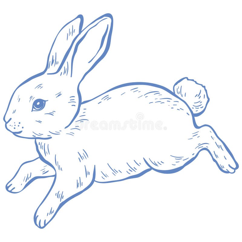 Cute Line Art Bunny. stock illustration. Illustration of hare - 366375546