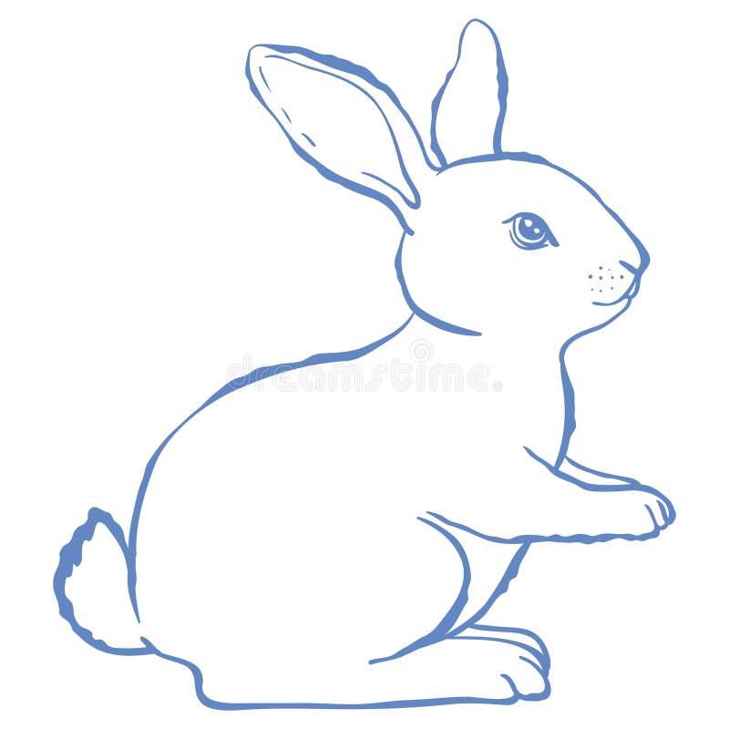 Cute Line Art Bunny. stock vector. Illustration of rabbit - 366375940