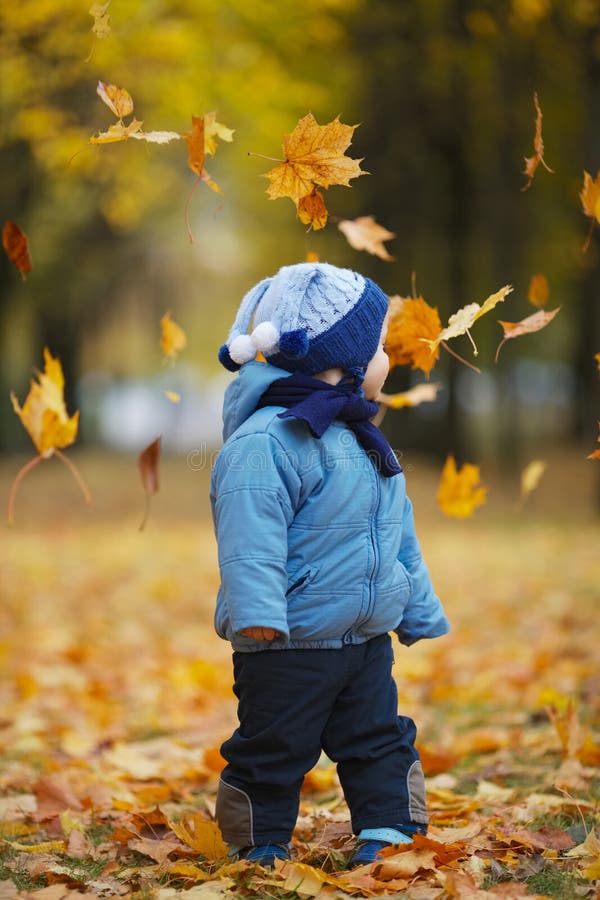 Cute Little Boy in Autumn Park Stock Photo - Image of fall, enjoy: 90623624