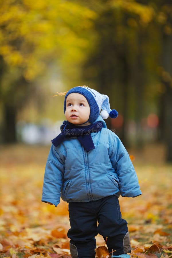 Cute Little Boy in Autumn Park Stock Image - Image of little, family ...