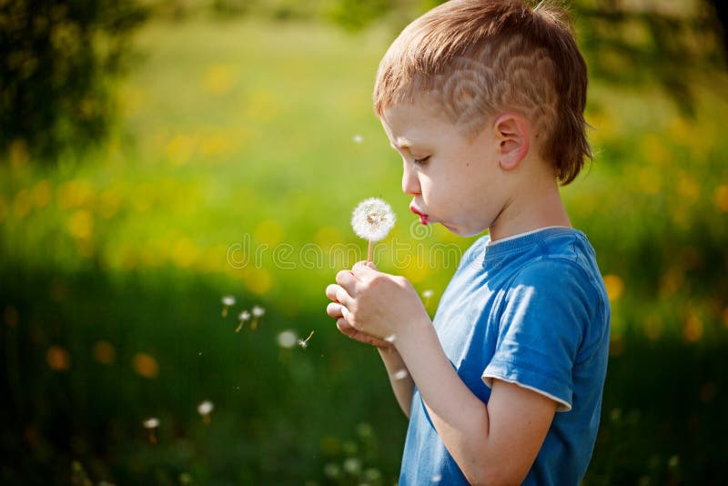 Cute Little Boy Blowing Dandelion in Spring Garden. Springtime Stock ...