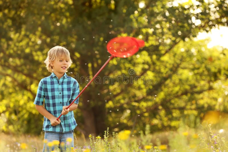 Cute Little Boy with Butterfly Net Outdoors. Child Spending Time in ...