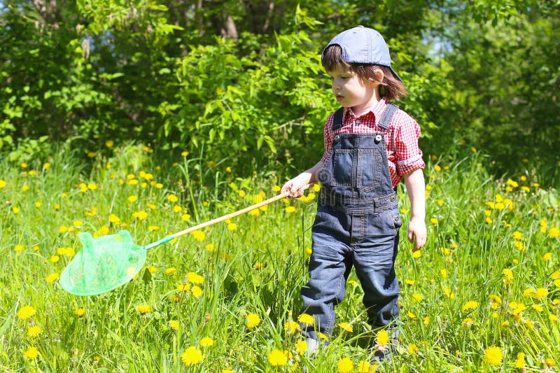 Cute Little Boy with Butterfly Net in Summer Outdoors Stock Image ...