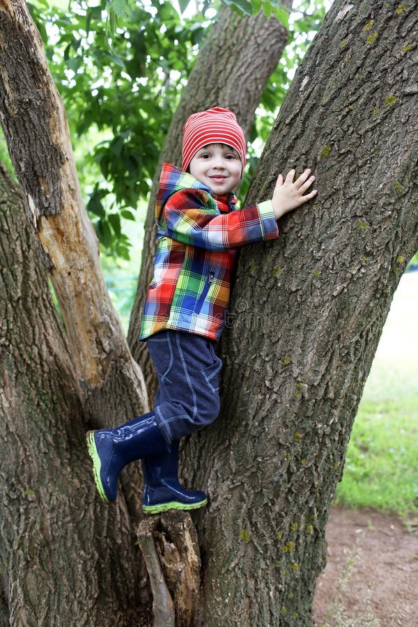 Cute Little Boy Climbing Trees Stock Image - Image of rain, trees: 56303201