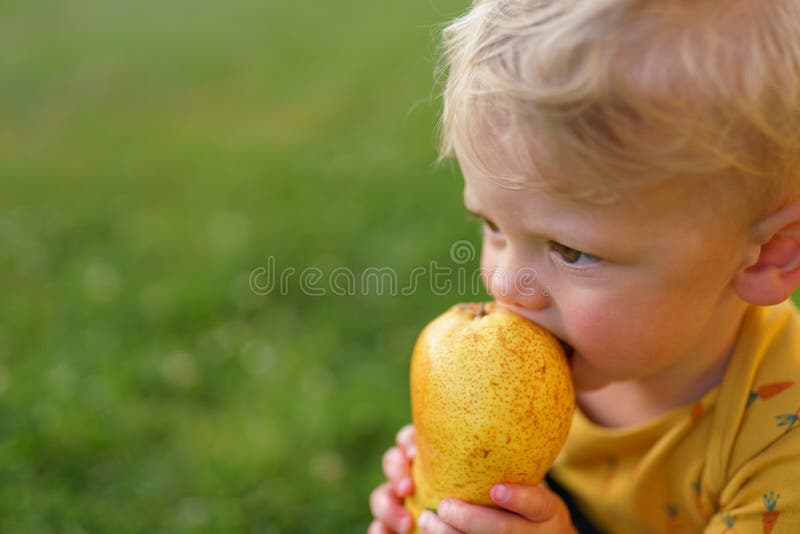 Cute Little Boy Eating Pear in Garden in Summer. Stock Image - Image of ...