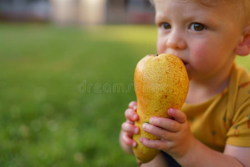 Cute Little Boy Eating Pear in Garden in Summer. Stock Photo - Image of ...