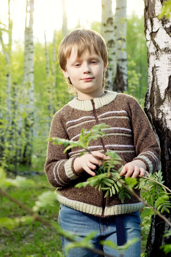 Little Boy in Spring Birch Forest Stock Photo - Image of jacket ...